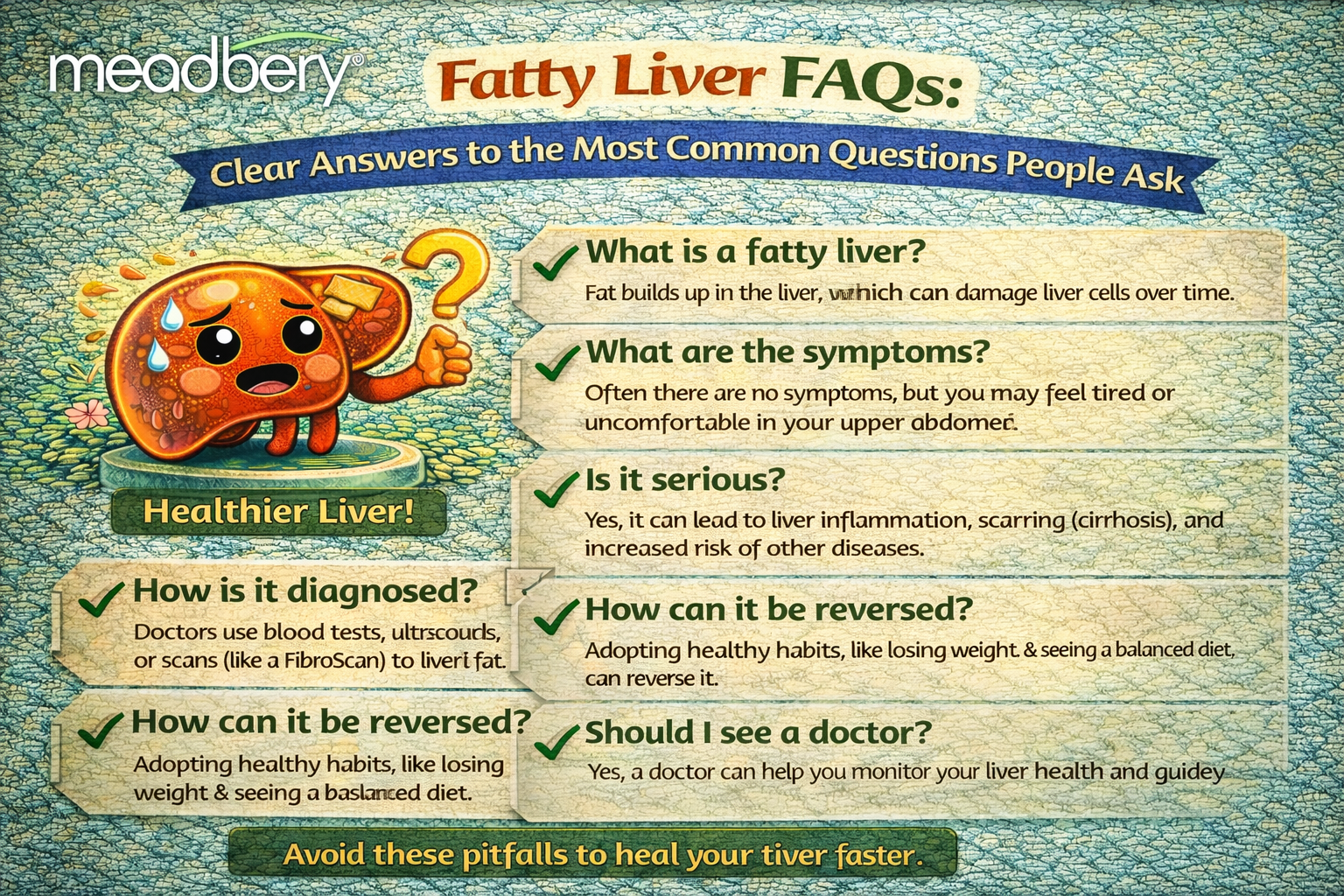 Fatty Liver FAQs: Clear Answers to the Most Common Questions People As ...